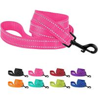 China Heavy Duty Nylon Dog Leash for sale