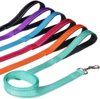 China Reflective Nylon Dog Leash with Neoprene Padded Handle 1.5m for Small to Large Dogs for sale
