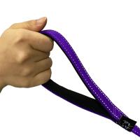 China Reflective Nylon Dog Leash with Neoprene Padded Handle 1.5m for Small to Large Dogs for sale