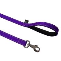 China Reflective Nylon Dog Leash with Neoprene Padded Handle 1.5m for Small to Large Dogs for sale