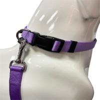 China Reflective Nylon Dog Leash with Neoprene Padded Handle 1.5m for Small to Large Dogs for sale