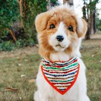China Colorful Blank Dog Bandanas Bib Kerchief Adjustable Cat Collar for sale