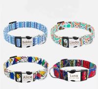 China Custom Stainless Steel Pet Dog Collar with Reflective Polyester Webbing 500 pcs MOQ for sale