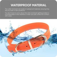 China Silicone Imitation Leather Dog Collar And Leash Set Custom Waterproof Durable Adjustable for sale