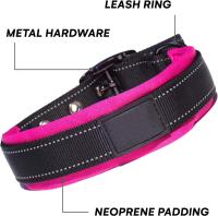 China Reflective Plain Nylon Adjustable Webbing Dog Collars Padded XS S M L Custom Size for sale