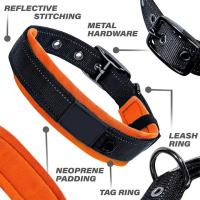 China Reflective Plain Nylon Adjustable Webbing Dog Collars Padded XS S M L Custom Size for sale
