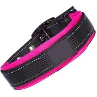 China Reflective Plain Nylon Adjustable Webbing Dog Collars Padded XS S M L Custom Size for sale