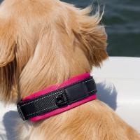 China Reflective Plain Nylon Adjustable Webbing Dog Collars Padded XS S M L Custom Size for sale