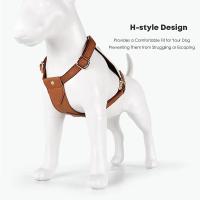 China Premium Adjustable Leather Pet Harness And Leash Set Stylish Comfortable And Durable for sale