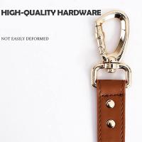 China Premium Adjustable Leather Pet Harness And Leash Set Stylish Comfortable And Durable for sale