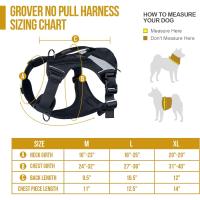 China Multi Use Personalized Dog Harness Adjustable Nylon Pet Dog Harness With Reflective Logo for sale