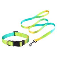 China Luxury Retractable Dog Leash Gradient Colors Dog Collar Leash Set For Small Dog for sale