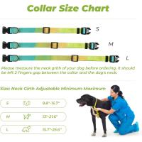 China Luxury Retractable Dog Leash Gradient Colors Dog Collar Leash Set For Small Dog for sale