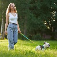 China Luxury Retractable Dog Leash Gradient Colors Dog Collar Leash Set For Small Dog for sale