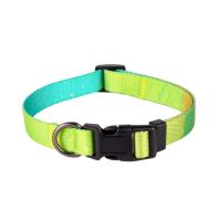 China Luxury Retractable Dog Leash Gradient Colors Dog Collar Leash Set For Small Dog for sale