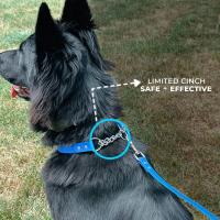 China Silicone Half Chain Pet Dog Collar For No Pull Dog Walking And Pet Training for sale