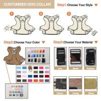 China Training Pet Dog Collar Harness And Leash Set for sale