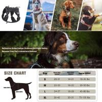 China Training Pet Dog Collar Harness And Leash Set for sale