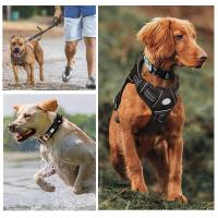 China Training Pet Dog Collar Harness And Leash Set for sale