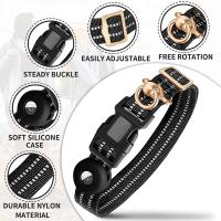 China Training Pet Dog Collar Harness And Leash Set for sale
