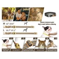 China Training Pet Dog Collar Harness And Leash Set for sale