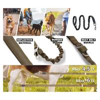 China Training Pet Dog Collar Harness And Leash Set for sale