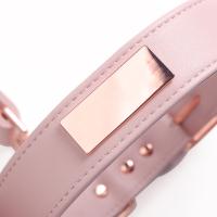China Custom PU Leather Dog Collar Sets with Leash BSCI Certified 500 Pieces MOQ for sale