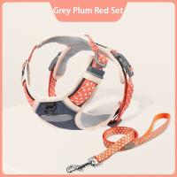 China No Pull Design Comfortable And Anti Choking Dog Harness Suitable For Training And Control for sale