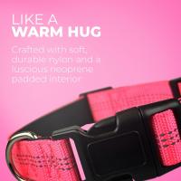 China Adjustable Soft Neoprene Padded Dog Collar Keeps Dogs Safe and Stylish for sale