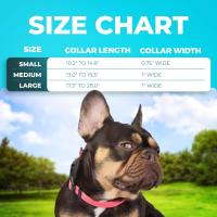China Adjustable Soft Neoprene Padded Dog Collar Keeps Dogs Safe and Stylish for sale