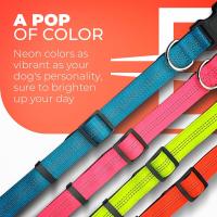 China Adjustable Soft Neoprene Padded Dog Collar Keeps Dogs Safe and Stylish for sale