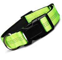 China Adjustable Soft Neoprene Padded Dog Collar Keeps Dogs Safe and Stylish for sale