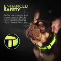China Adjustable Soft Neoprene Padded Dog Collar Keeps Dogs Safe and Stylish for sale