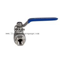 China 2 PC 1/4 Inch Stainless Steel Instrument Manifold Ball Valve Male to Female 1000 psi for sale