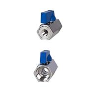 China Stainless Steel Mini Ball Valve NPT BSP Female to Female Shut Off Valve 1/4 Inch for sale