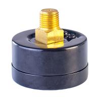 China 2.5 Inch 100 PSI General Pressure Gauge 1/4 NPT Back Mount Brass Connection for sale