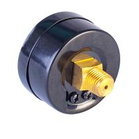 China 2.5 Inch 100 PSI General Pressure Gauge 1/4 NPT Back Mount Brass Connection for sale