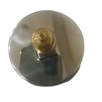 China 2.5 Inch Liquid Filled Pressure Gauge 0-230 psi Stainless Steel Case Brass Connection for sale