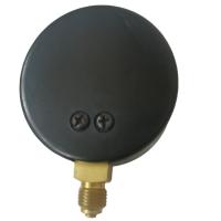 China 2-1/2 Inch 0-230 psi Dry Pressure Gauge 1/4 BSP Lower Mount ABS Case Brass Connection for sale
