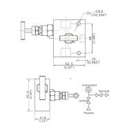 China 1/4 BSP 6000 Psi 200℃ Multi Instruments Manifolds Two Valve Manifold PTFE for sale