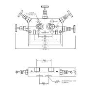 China Stainless Steel Five Valve Manifold 6000 psi 200C for Differential Pressure Transmitter for sale