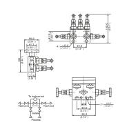 China Stainless Steel Five Valve Instrument Manifold for sale
