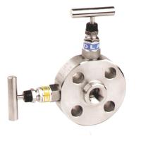 China Stainless Steel Two Way Instrument Manifold Valve 6000 psi 200℃ 1/4 BSPT for sale