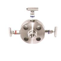 China Stainless Steel 2 Valve Manifold 6000 Psi 1/2 BSP 100C Instrument Manifold for sale