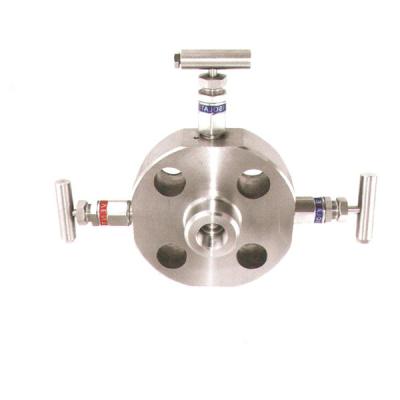 China Stainless Steel 2 Valve Manifold 6000 Psi 1/2 BSP 100C Instrument Manifold for sale