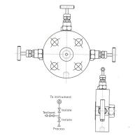 China Stainless Steel 2 Valve Manifold 6000 Psi 1/2 BSP 100C Instrument Manifold for sale