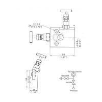 China Stainless Steel 2 Way Instrument Manifold Valve 1/4 Female NPT 6000 Psi 200℃ for sale