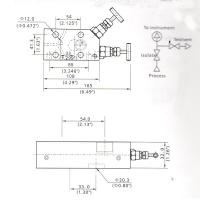 China Two Valve 6000 Psi  200C Differential Pressure Manifold PTFE  Seat for sale
