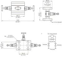 China PTFE 6000Psi Needle Valve Manifold 3 Way Pressure Gauge Manifold Valves 200C for sale