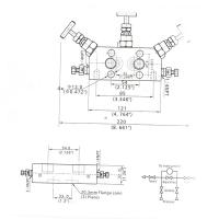 China Stainless Steel Three Valve Manifold 1/2 NPT 6000 PSI 200C Pressure Transmitter for sale